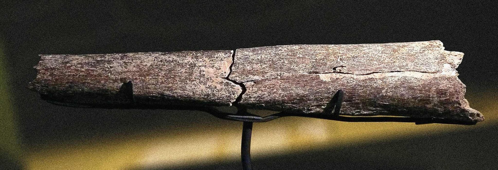 Человек из Боксгроува оказался неандертальцем. Но не совсем