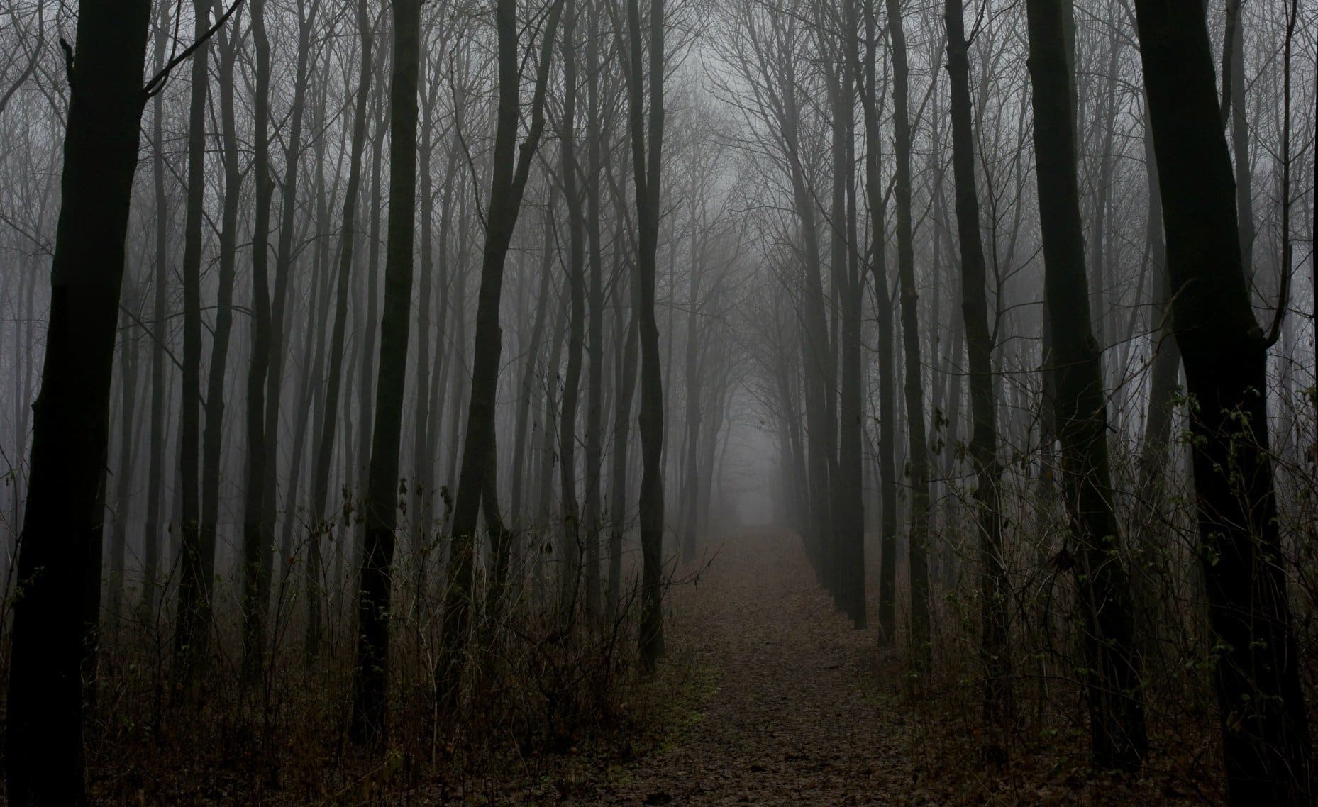 Мероприятие: Почему мы любим страшные истории?